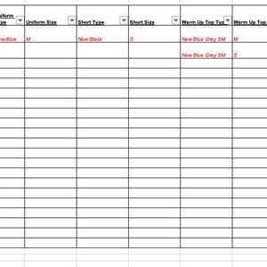 Clothing Inventory Tracker Spreadsheet - Etsy
