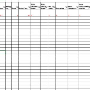 Apparel Inventory Tracking Spreadsheet - Etsy