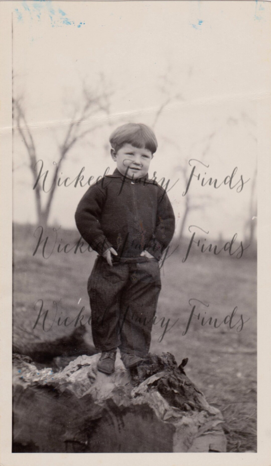 Vintage Cute Little Boy Photo, Instant Download, Digital Photo, Little ...