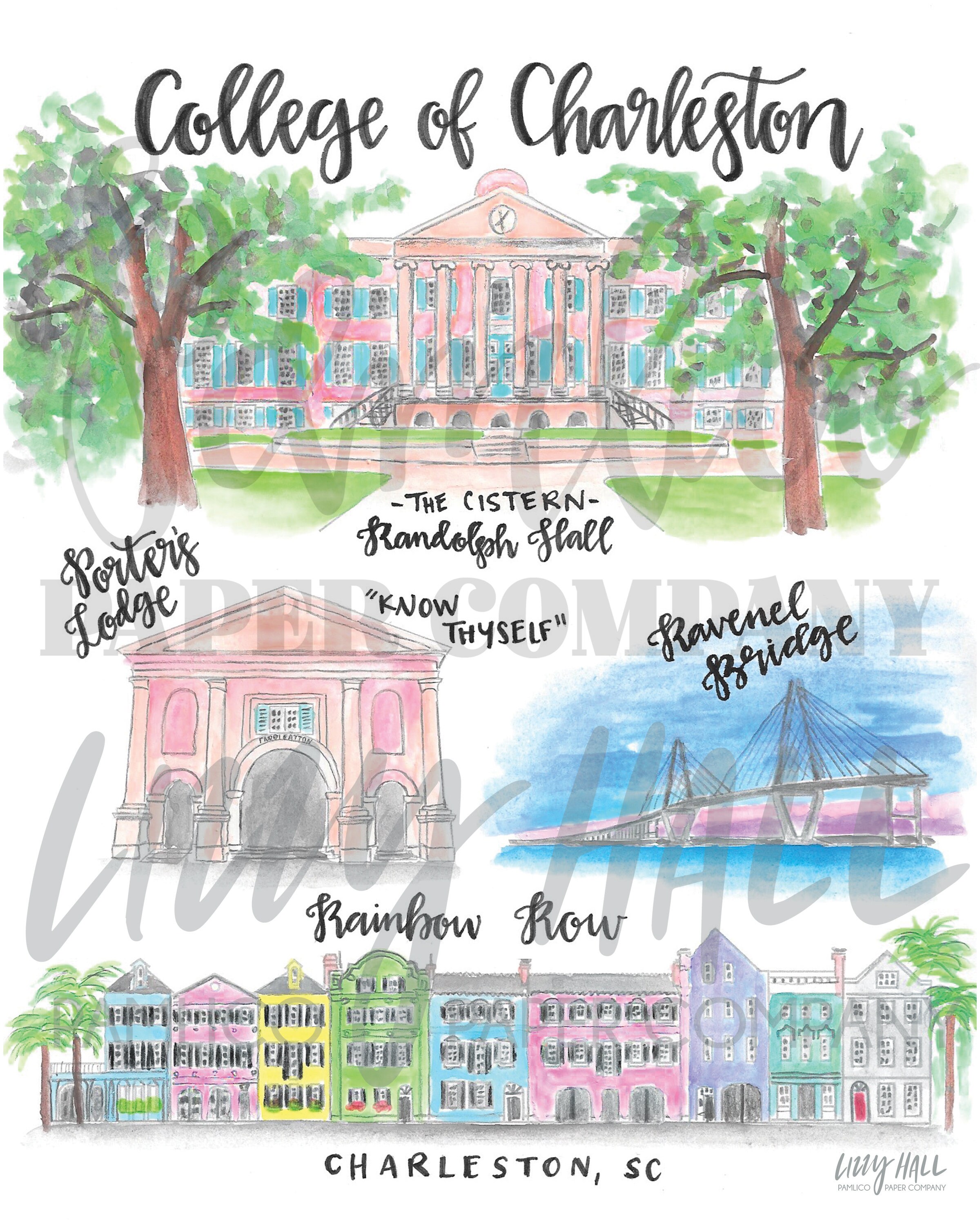 College Of Charleston Sorority Row