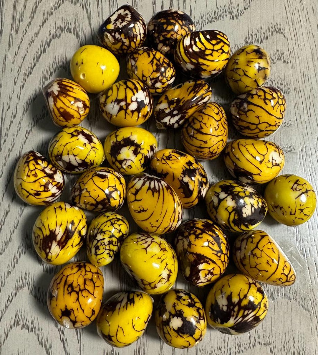 Large Tagua Balls. Mix of Honey & Light Yellow Colors. 6 Pieces ...