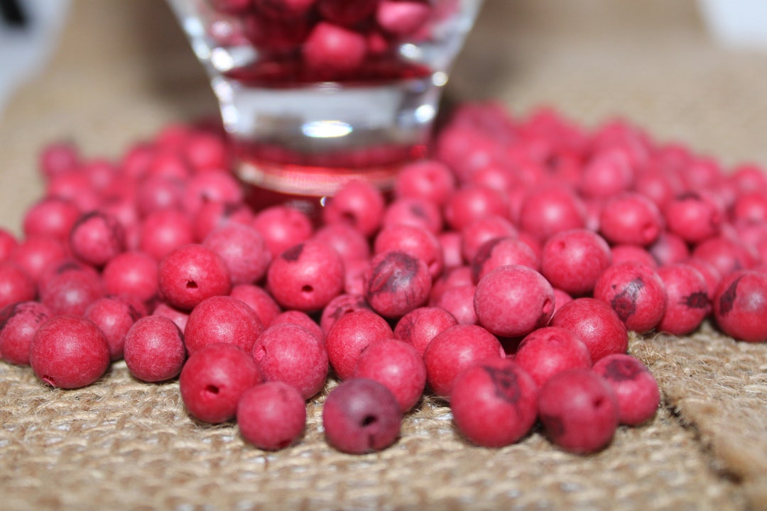 Red Beads Acai Seeds From the Colombian Amazonian Palm. Size: 1x1cm ...
