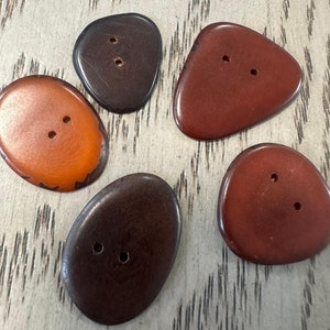 Tagua Bead Tagua Nut Button for Crafts & Sewing Tagua Slice in 30 ...