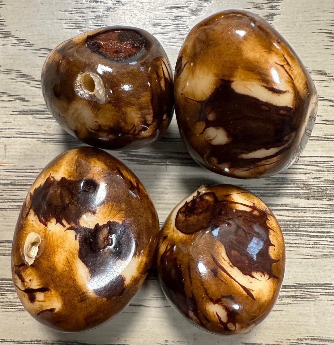 Tagua Nut Seed Bead | 5 Tagua Nuts in Brown With a Coat of Resin | Top ...