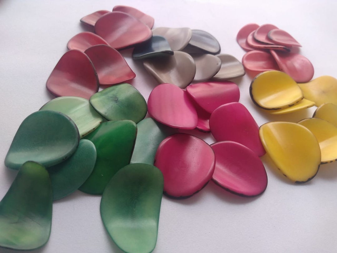 30 Tagua Curved Slices / Beads / Chips in 6 Colors. 5 Pieces for Each ...