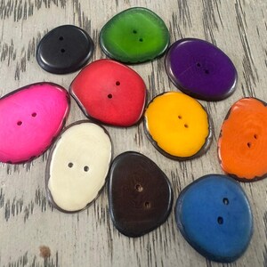 Tagua Bead Tagua Nut Button for Crafts & Sewing Tagua Slice in 30 ...