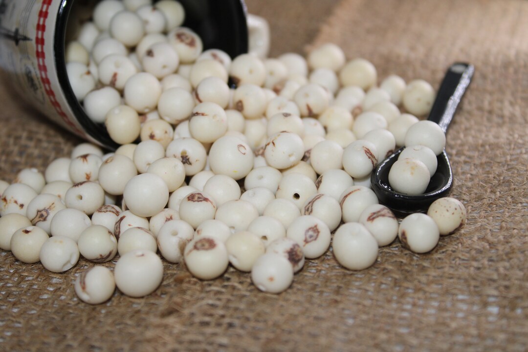 White Beads Acai Seeds From the Colombian Amazonian Palm. Size: 1x1cm ...
