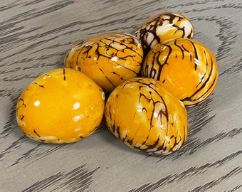 Vegetable Ivory Nuts - Etsy