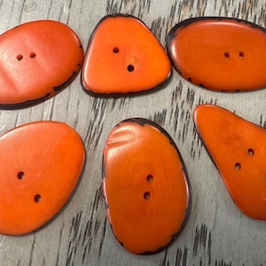 Tagua Bead Tagua Nut Button for Crafts & Sewing Tagua Slice in 30 ...