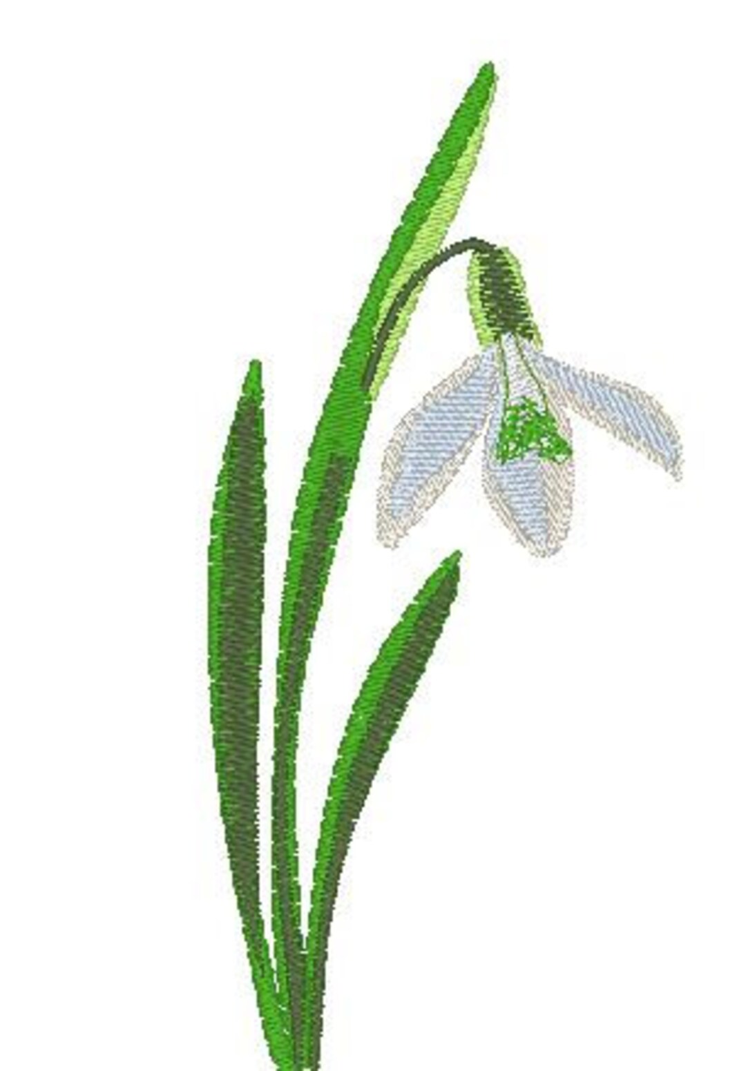 Snowdrop. Machine Embroidery Design. 7x5 Hoop Size - Etsy