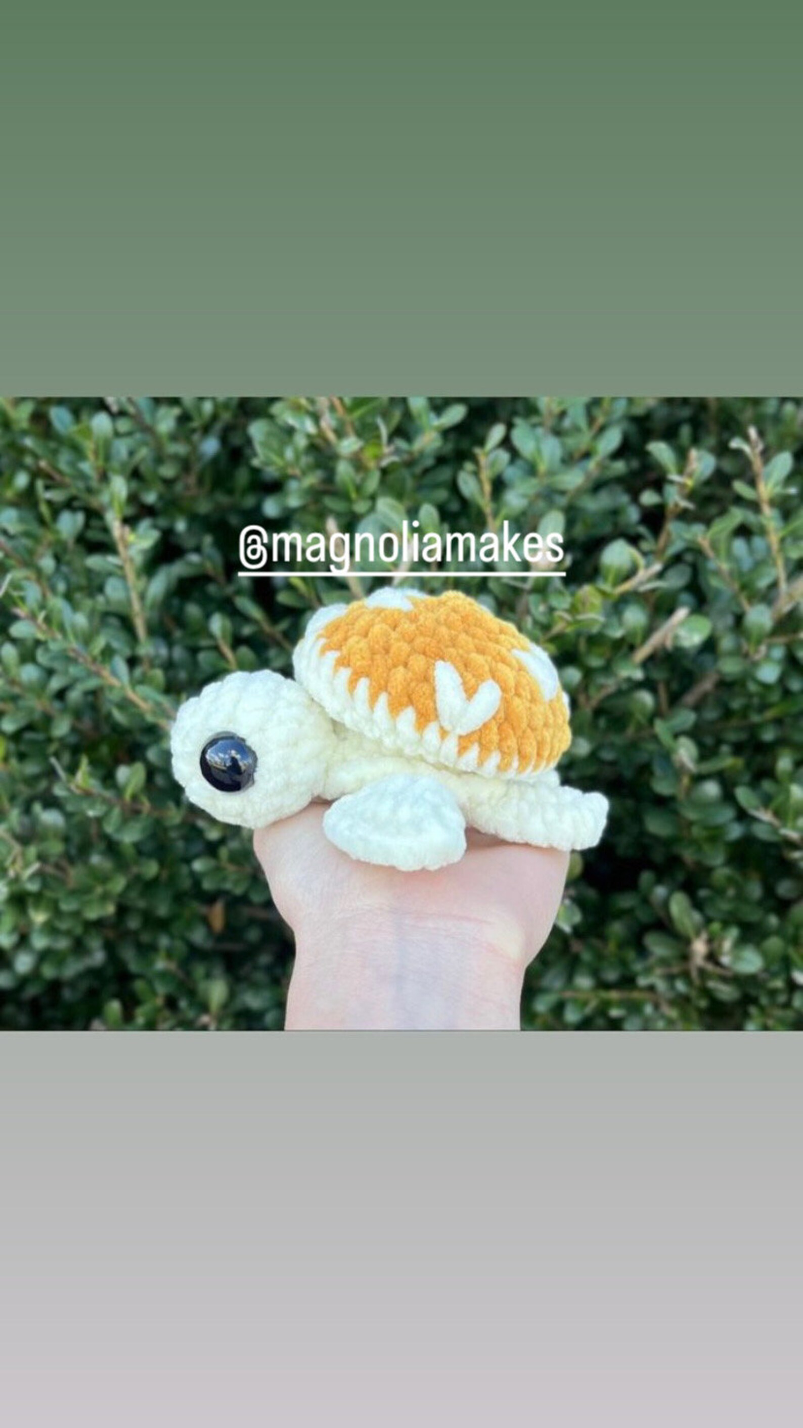 Crochet Pattern | Myrtle the Turtle | Turtle Crochet Pattern | Mushroom ...