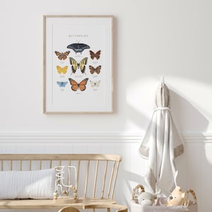 Educational Butterfly Poster, Butterfly Chart, Printable Wall Art ...