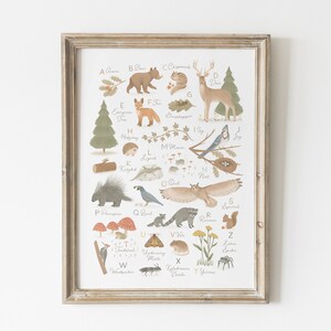 Woodland Alphabet Poster, Woodland Alphabet Print, Woodland Abcs Wall ...