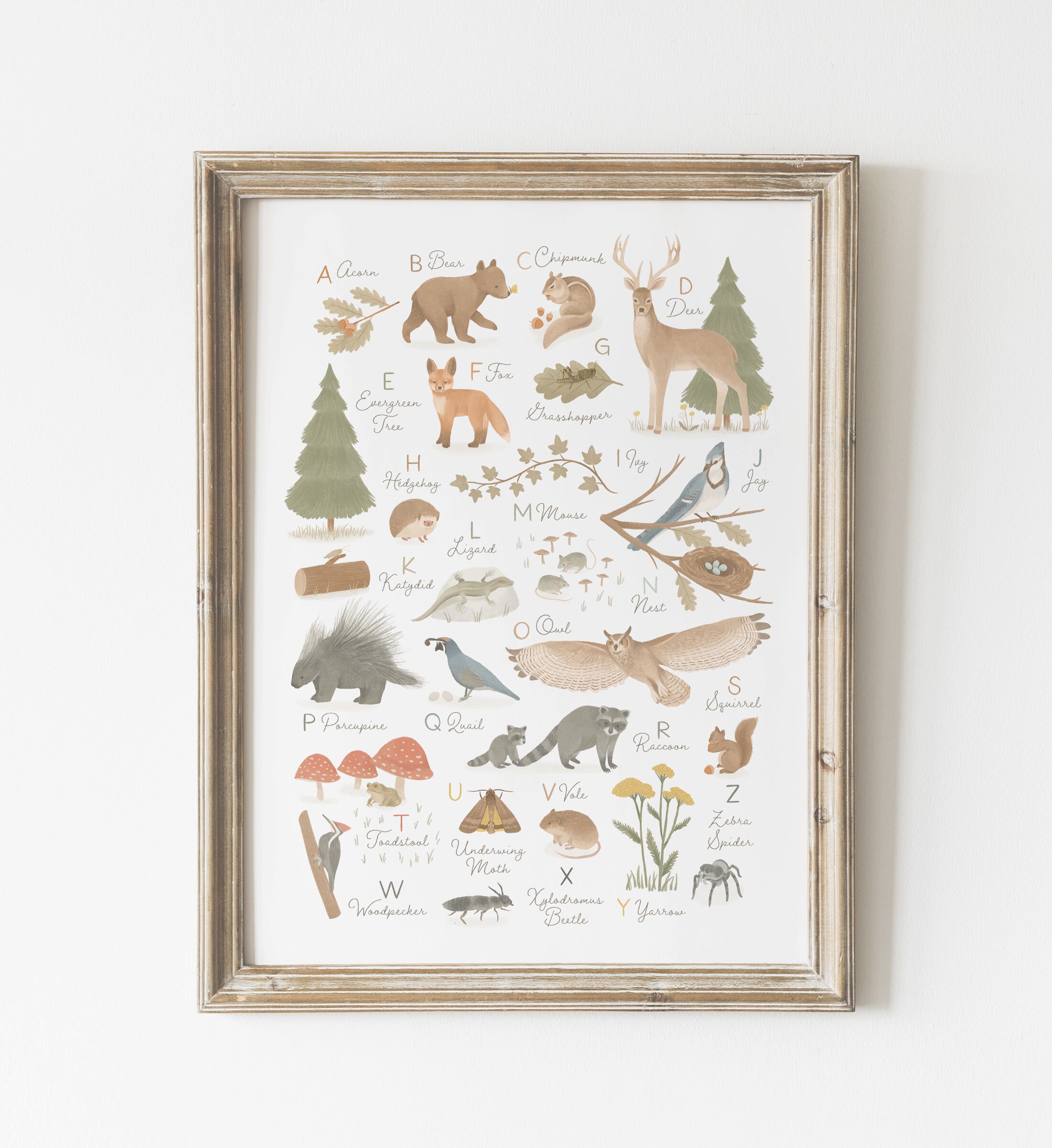 Woodland Alphabet Poster Woodland Alphabet Print Woodland - Etsy