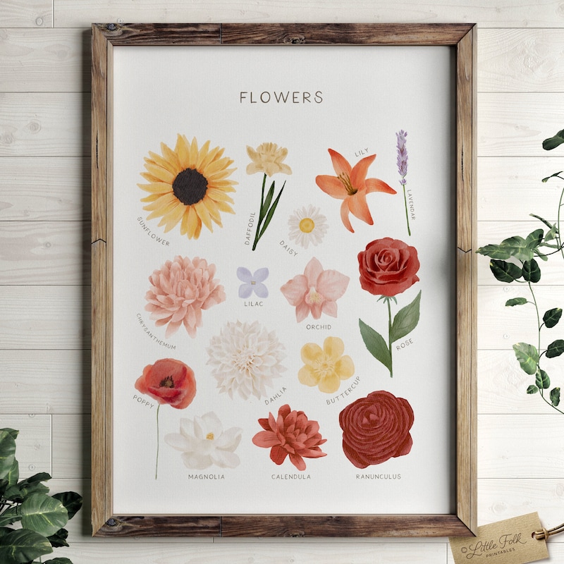 Nature Poster - Etsy
