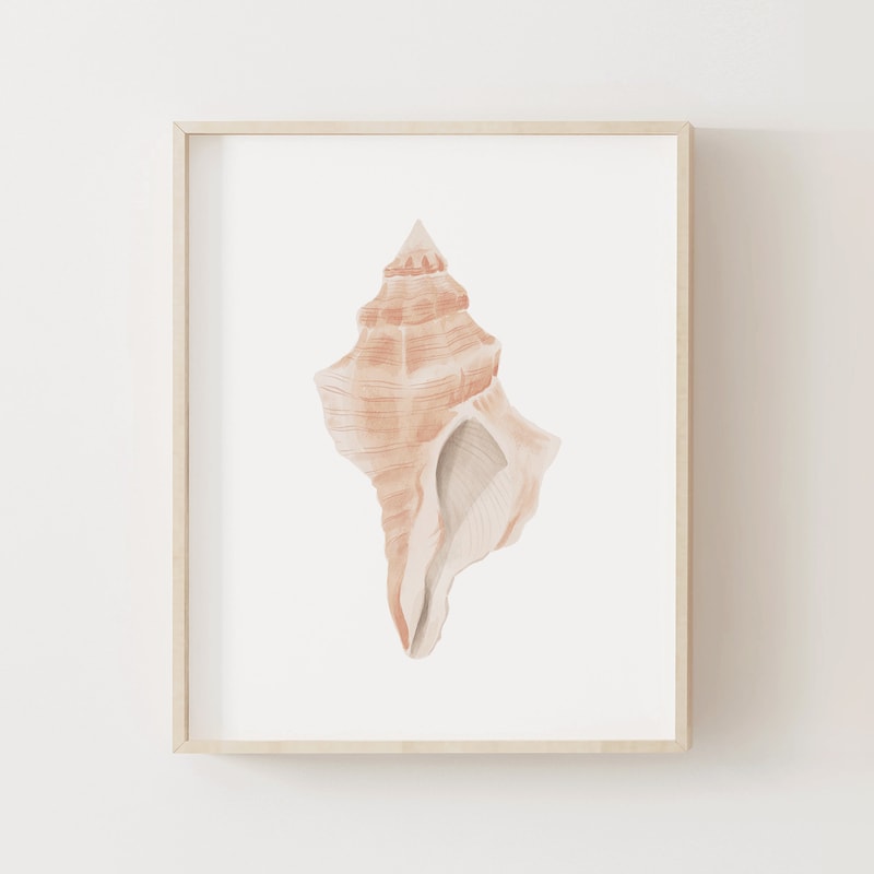 Conch Shell Art - Etsy