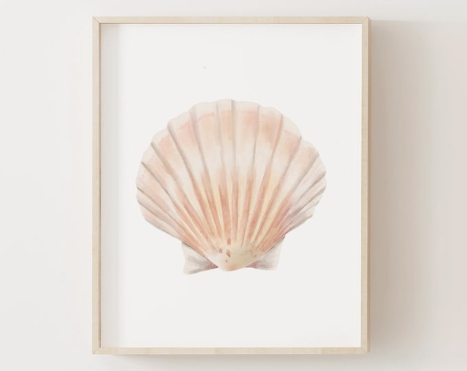 30 Vintage Shell Illustrations Plate Printable Wall Art Bundle Conch ...