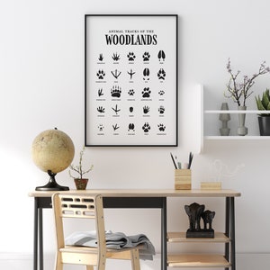 Animal Tracks Print, Woodland Nursery Decor, Printable Wall Art, Boys ...