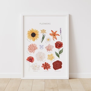 Educational Flowers Poster, Flower Print, Printable Wall Art ...