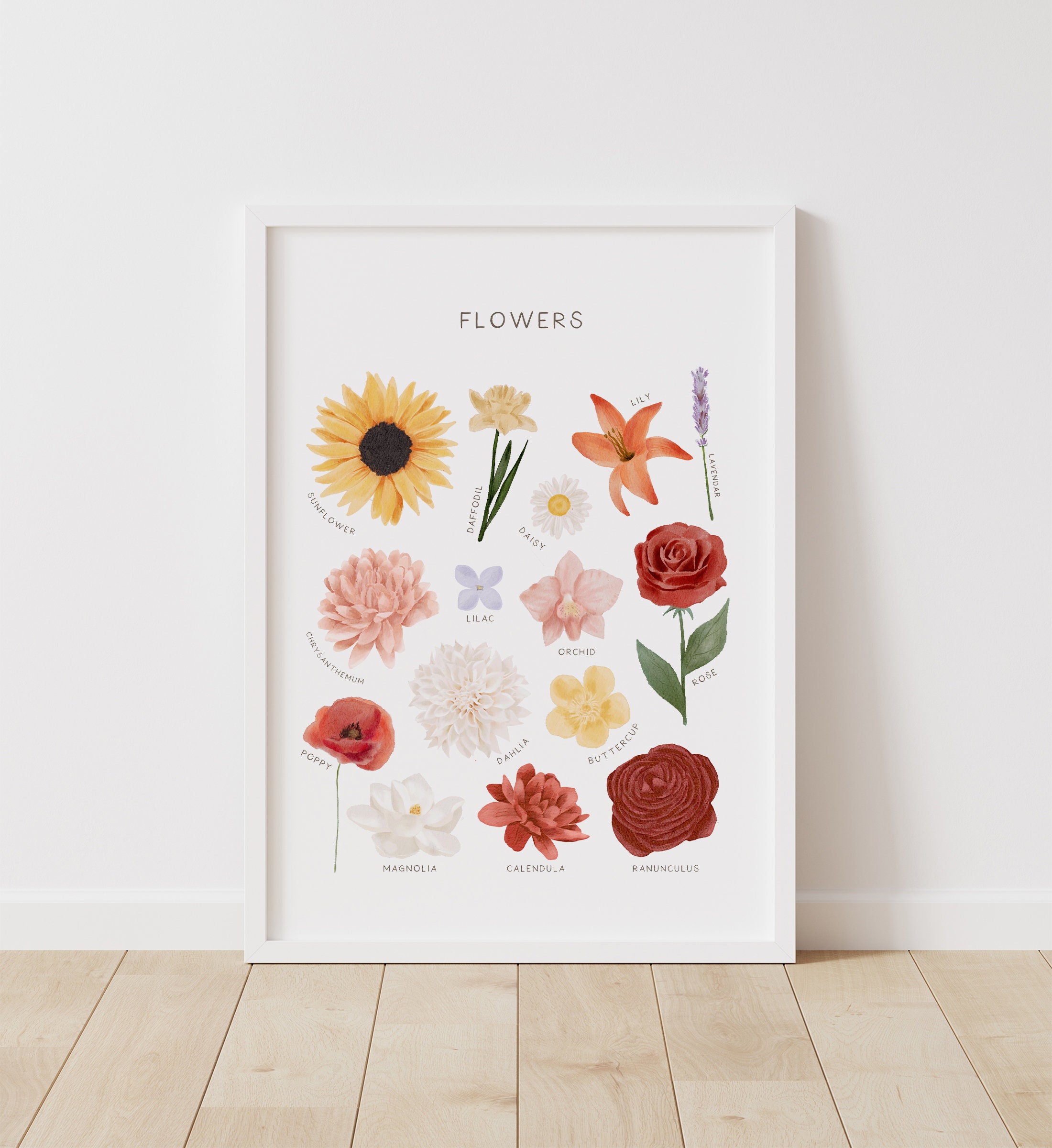Educational Flowers Poster, Flower Print, Printable Wall Art ...