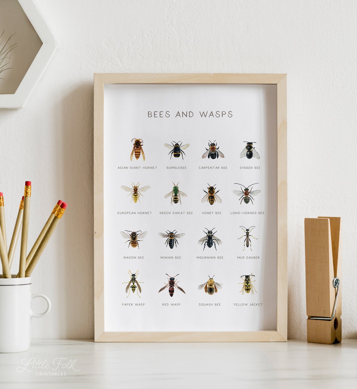Educational Bugs Poster Bees and Wasps Print Printable Wall - Etsy