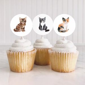Kitten Birthday Cupcake Toppers, Printable Kitty Cat Birthday Party ...