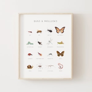 Educational Bugs Poster, Insects Print, Printable Wall Art, Montessori ...