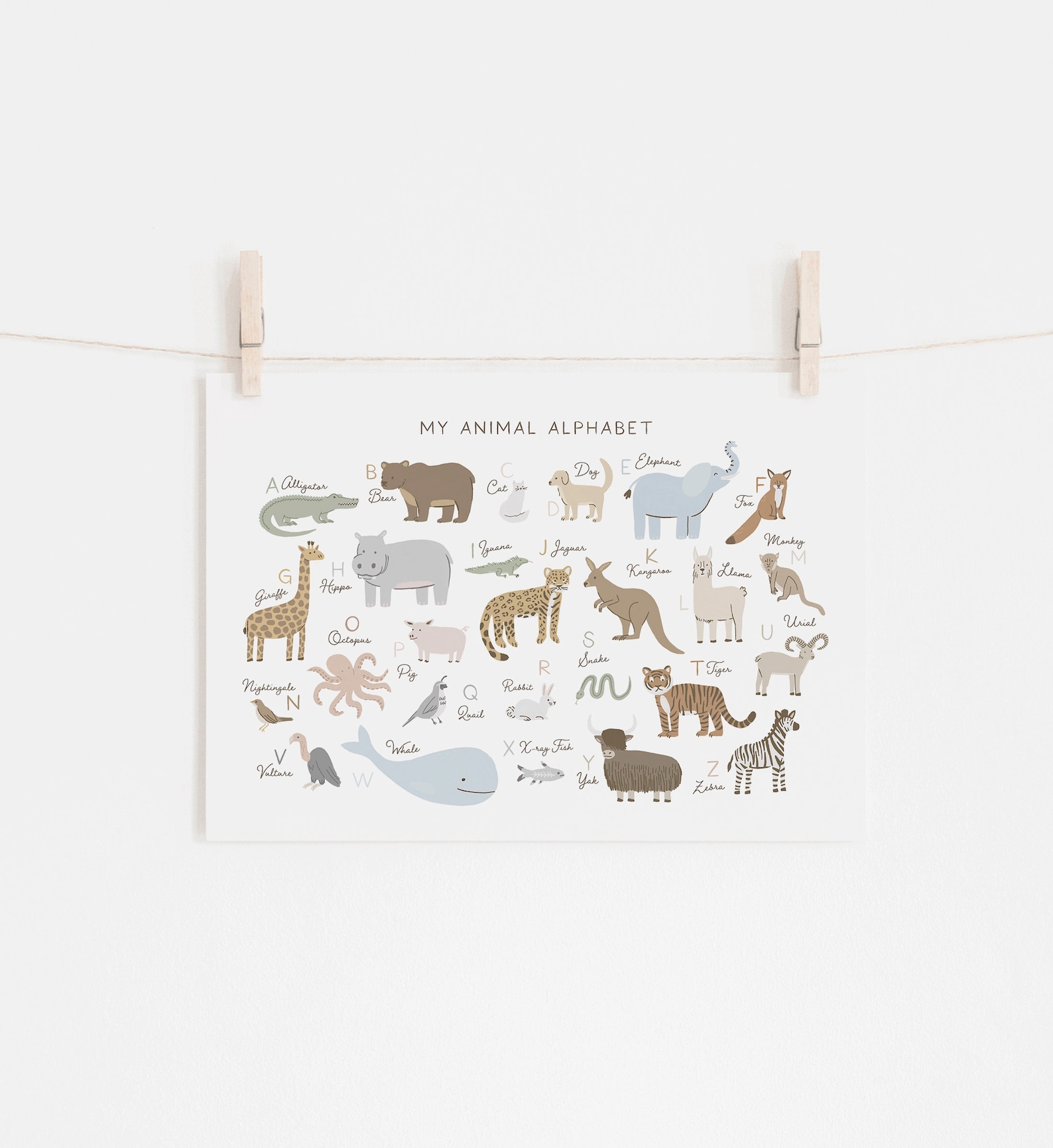 Animal Alphabet Poster, PRINTABLE Nursery Wall Art, Educational ABC ...