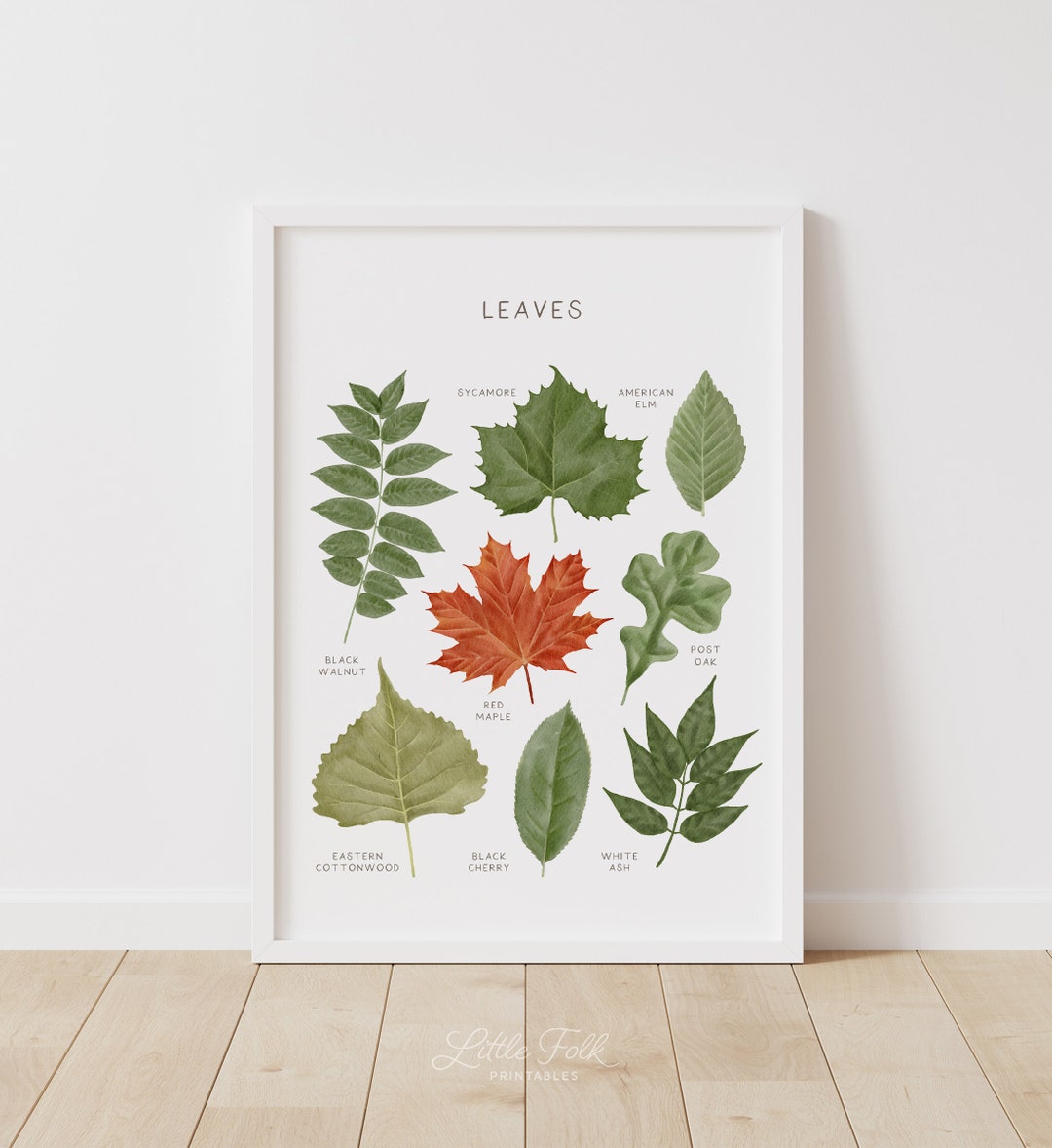 Educational Leaves Poster, Leaf Types Print, Printable Wall Art ...