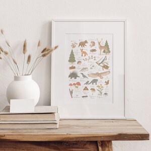 Woodland Alphabet Poster, Woodland Alphabet Print, Woodland Abcs Wall ...