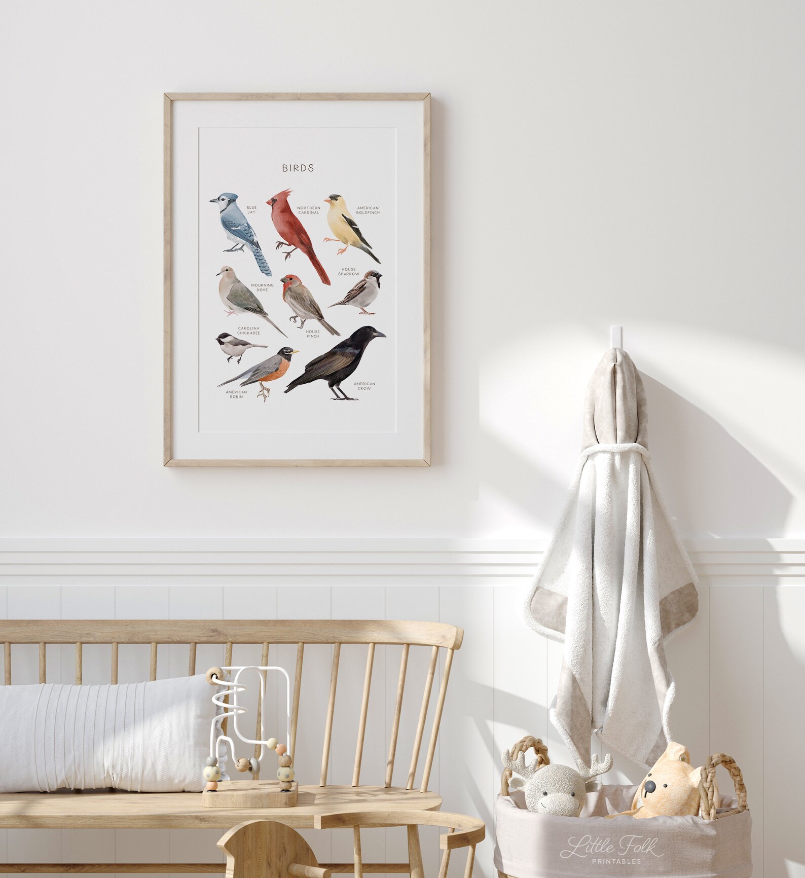 Educational Birds Poster Common Birds Print Printable Wall - Etsy