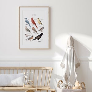 Educational Birds Poster, Common Birds Print, Printable Wall Art ...