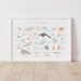 Animal Alphabet and Numbers Prints, Beach Nursery Decor, PRINTABLE Wall ...