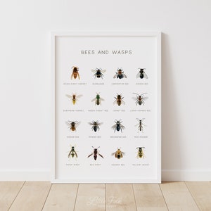 Educational Bugs Poster, Bees and Wasps Print, Printable Wall Art ...