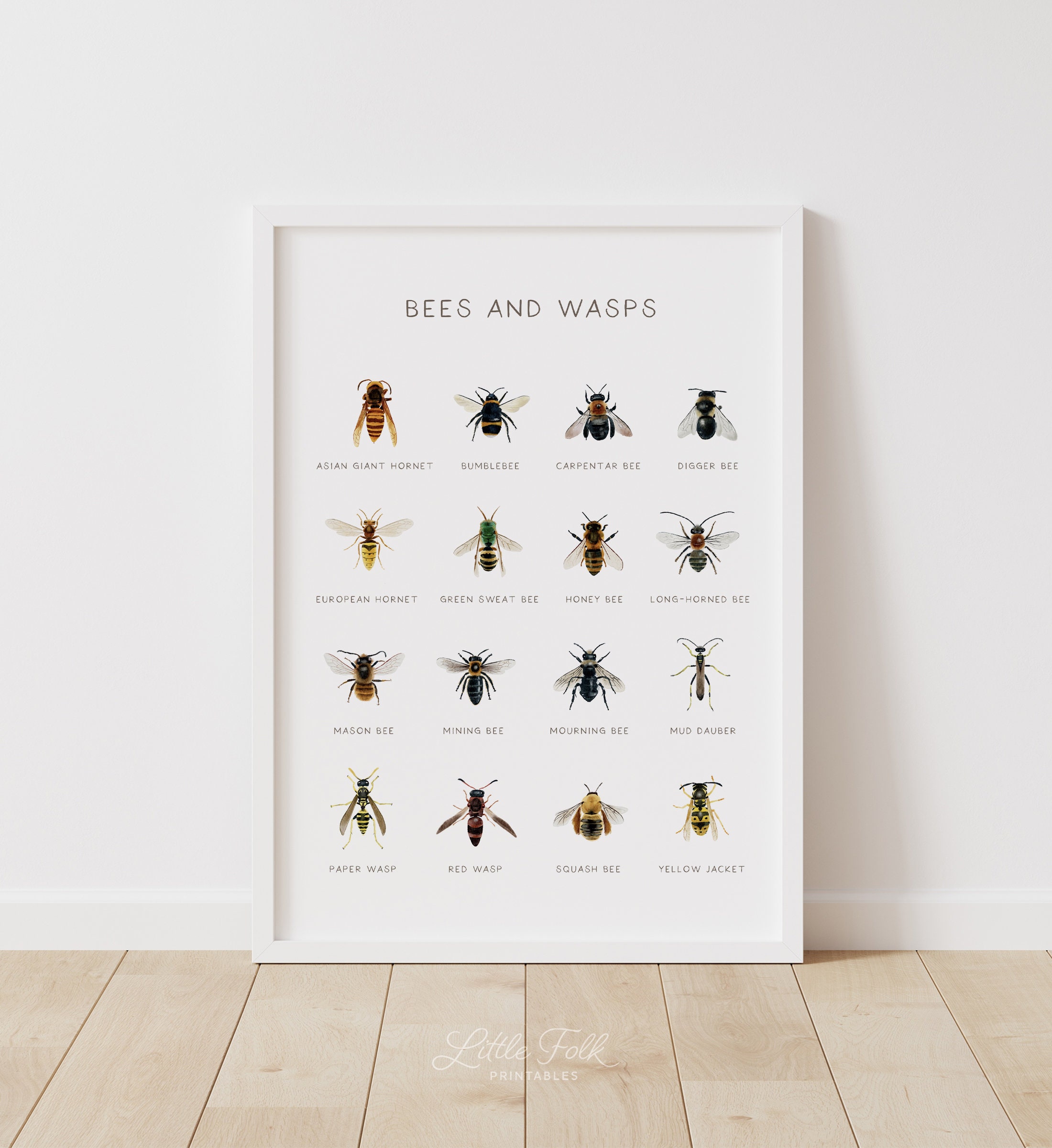 Educational Bugs Poster, Bees and Wasps Print, Printable Wall Art ...