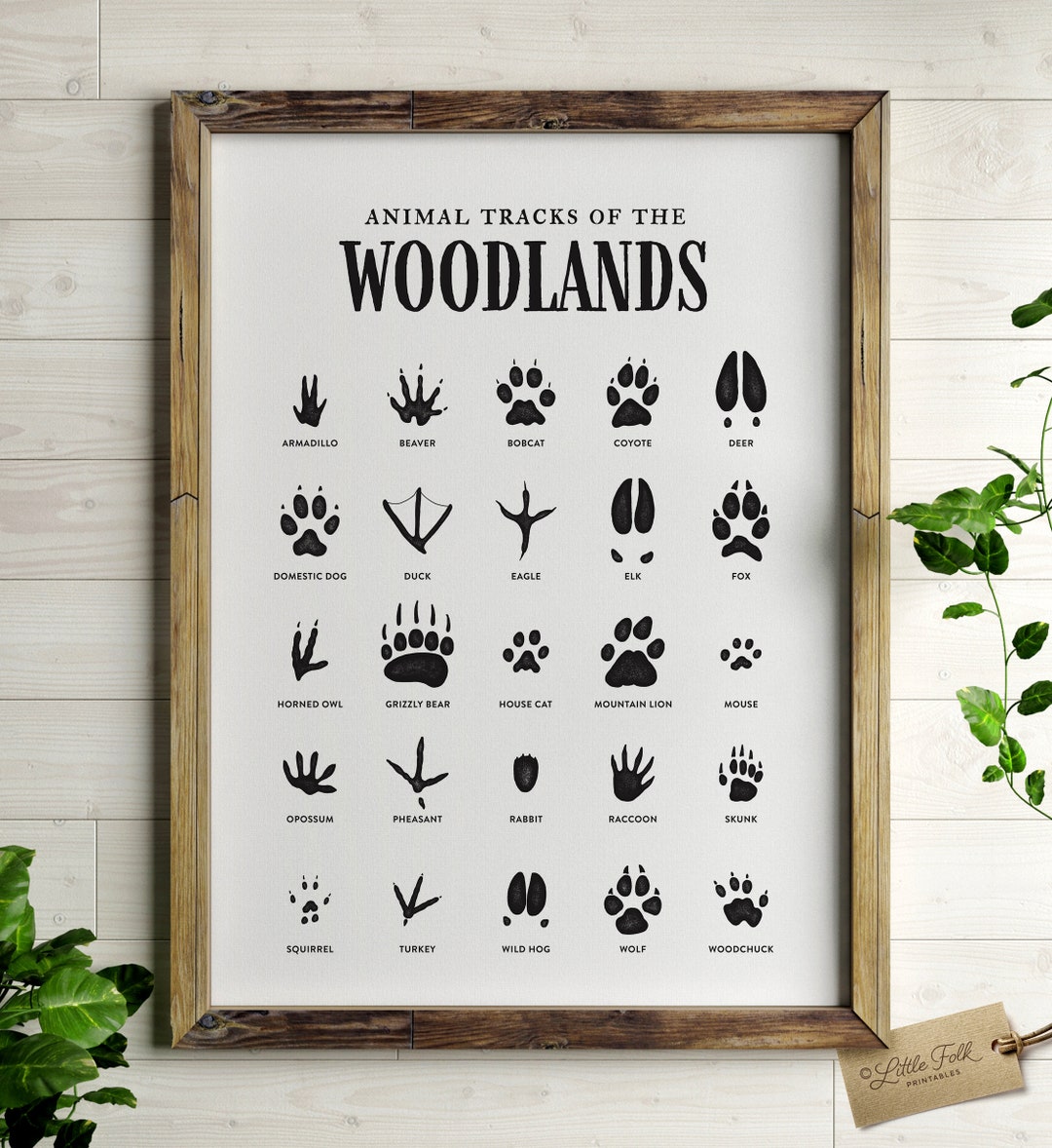 Animal Tracks Print, Woodland Nursery Decor, Printable Wall Art, Boys ...