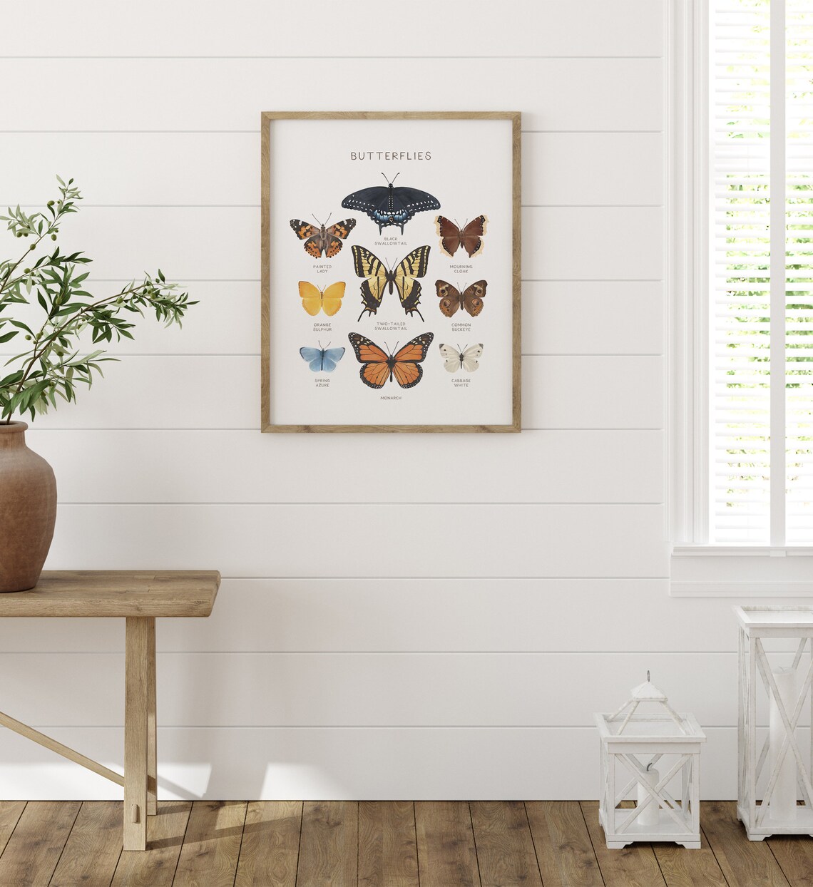 Educational Butterfly Poster, Butterfly Chart, Printable Wall Art ...