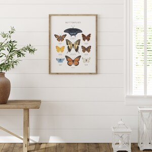 Educational Butterfly Poster, Butterfly Chart, Printable Wall Art ...