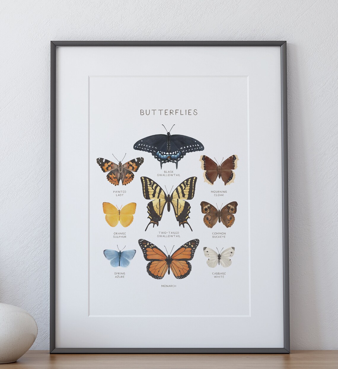 Educational Butterfly Poster, Butterfly Chart, Printable Wall Art ...