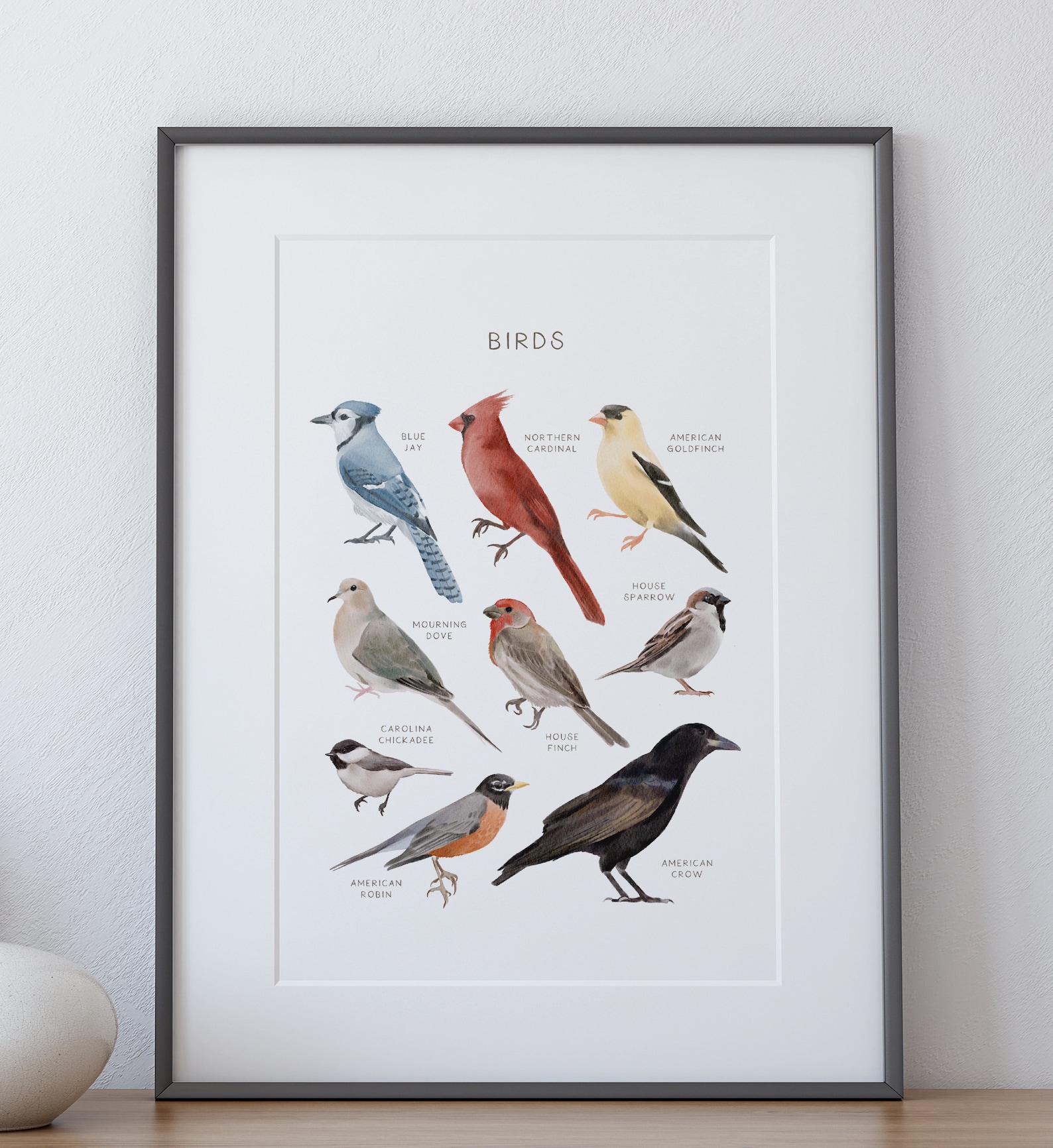 Educational Birds Poster Common Birds Print Printable Wall | Etsy