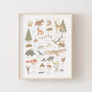 Woodland Alphabet Poster, Woodland Alphabet Print, Woodland Abcs Wall ...