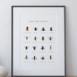 Educational Bugs Poster, Bees and Wasps Print, Printable Wall Art ...
