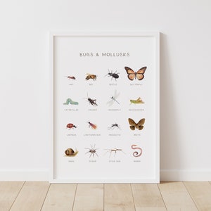 Educational Bugs Poster, Insects Print, Printable Wall Art, Montessori ...