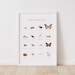 Educational Bugs Poster, Insects Print, Printable Wall Art, Montessori ...