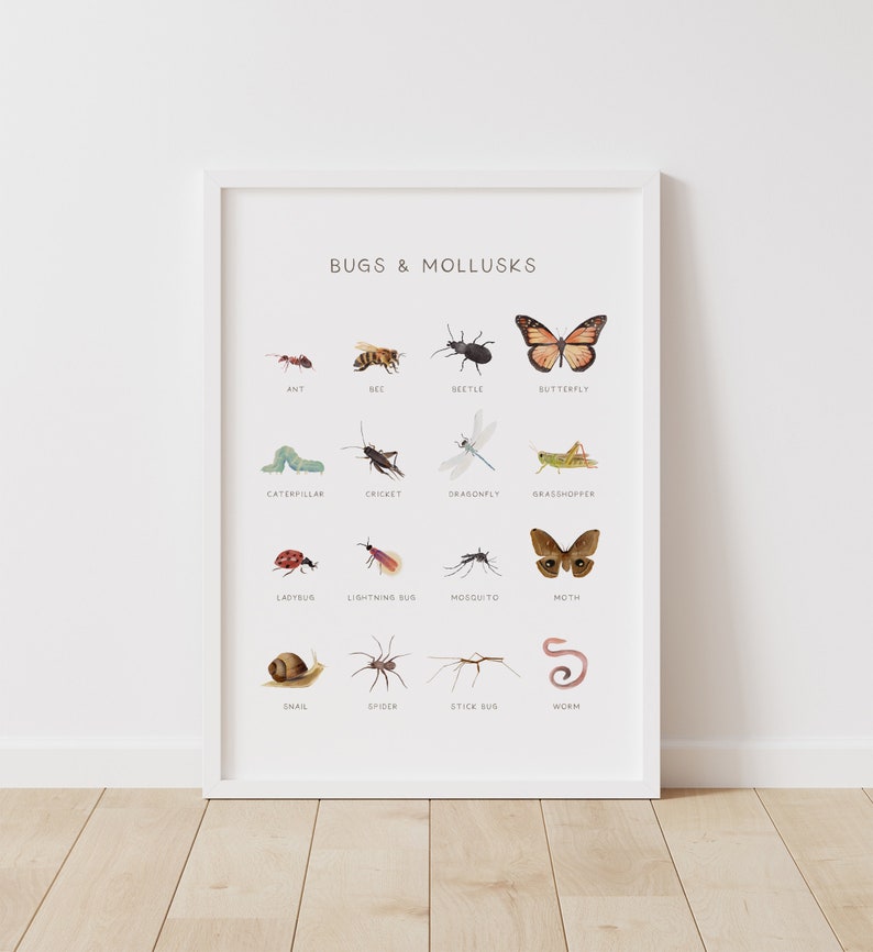 Educational Bugs Poster, Insects Print, Printable Wall Art, Montessori ...