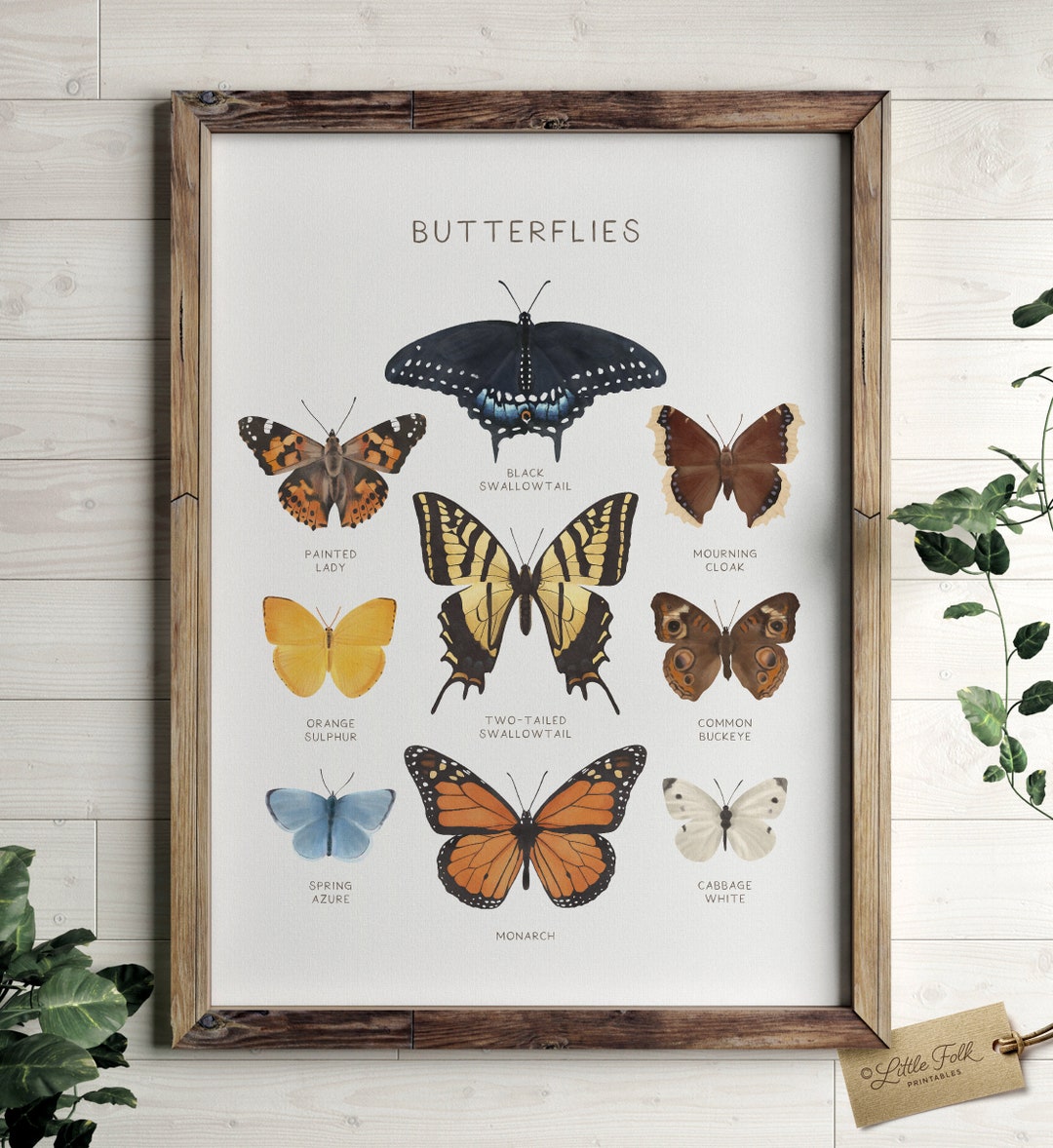 Educational Butterfly Poster, Butterfly Chart, Printable Wall Art ...