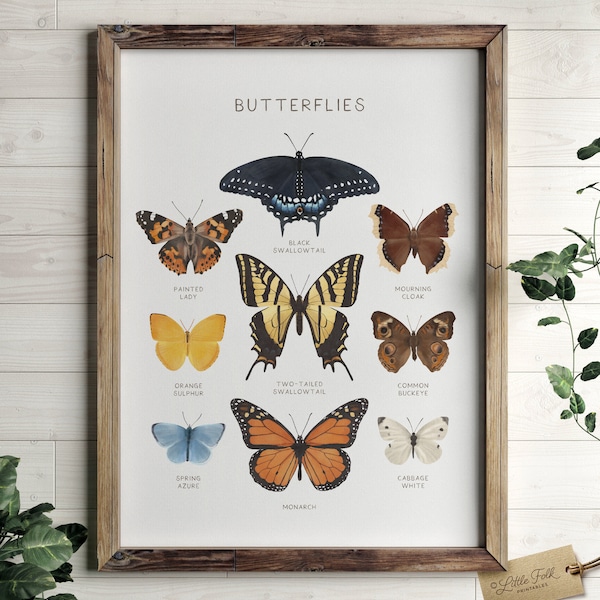 Butterfly Poster - Etsy