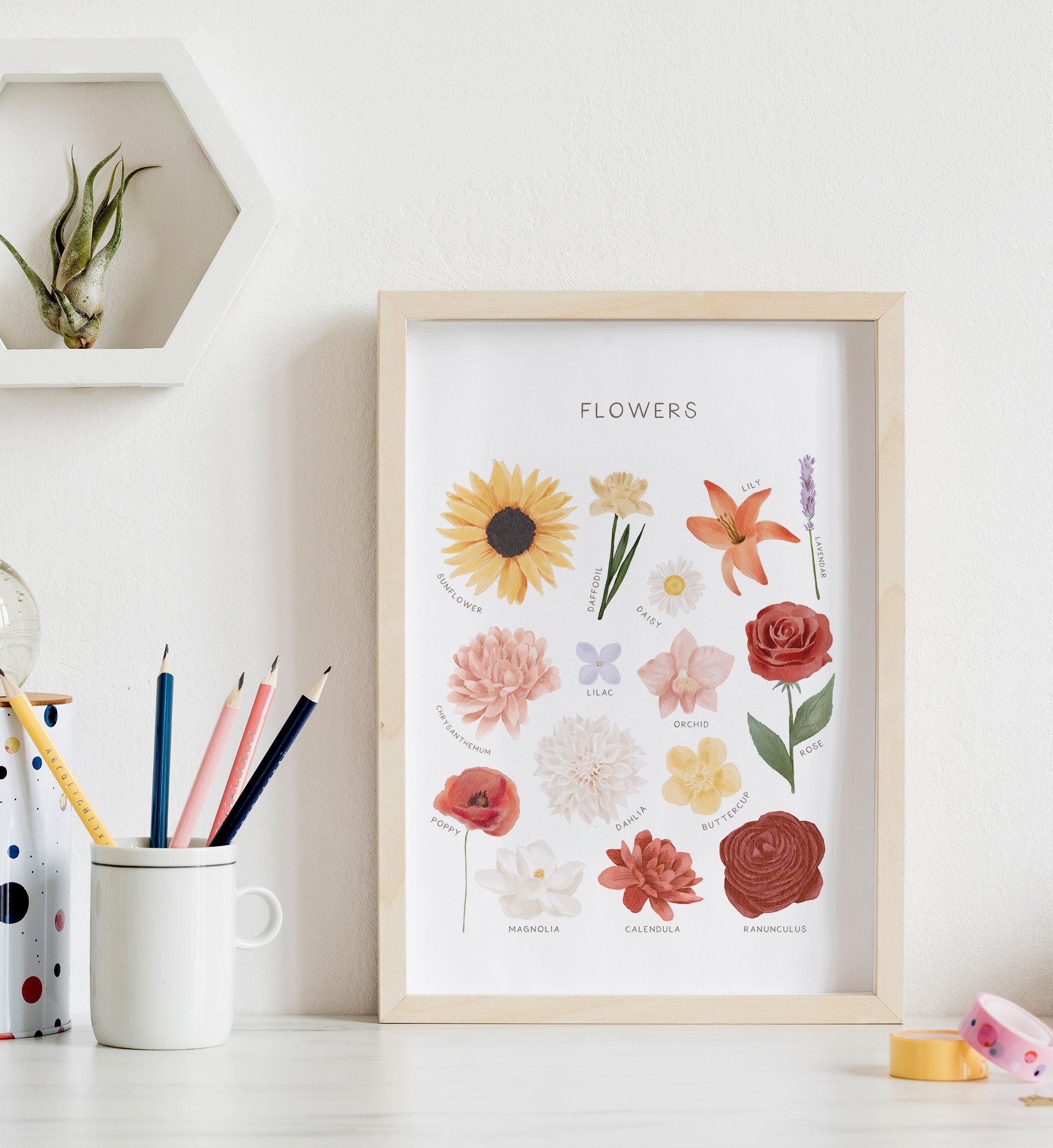 Educational Flowers Poster, Flower Print, Printable Wall Art ...