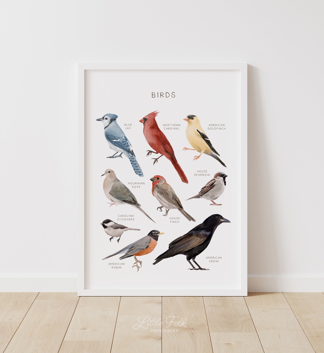 Educational Birds Poster, Common Birds Print, Printable Wall Art ...