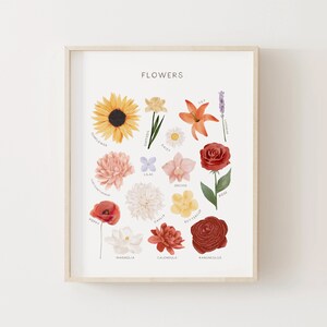 Educational Flowers Poster, Flower Print, Printable Wall Art ...